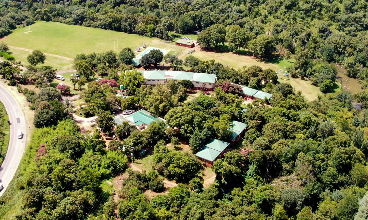 About us - PARNASSUS